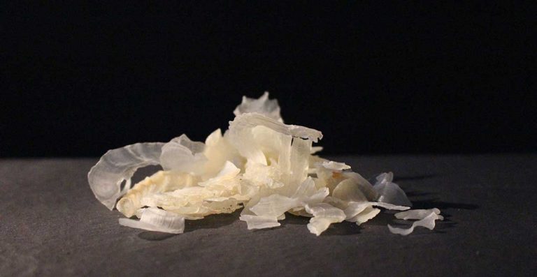 Gum tragacanth - Willy Benecke