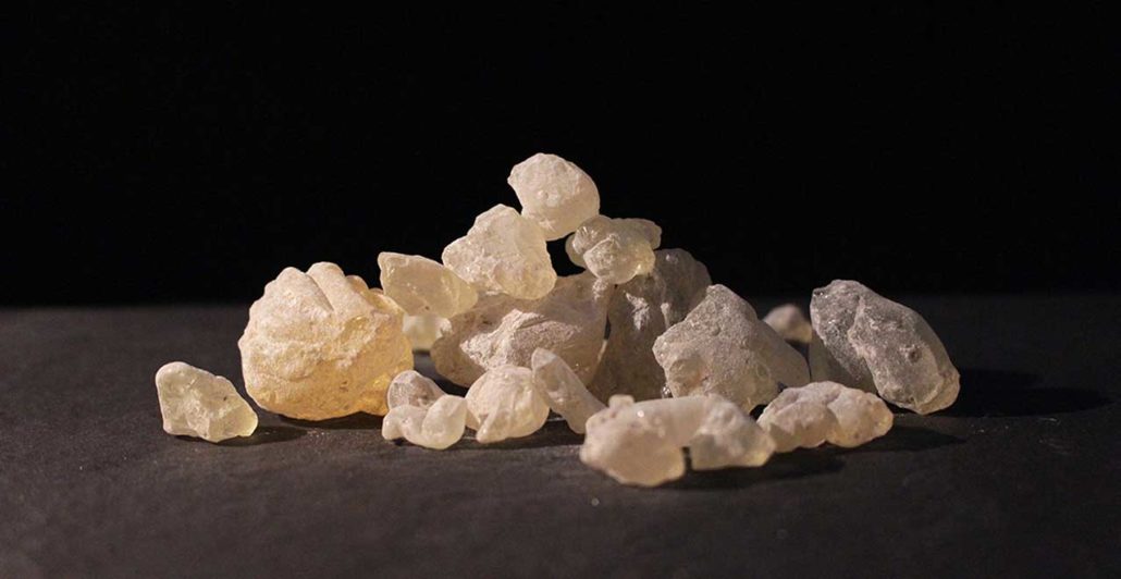 Willy Benecke - Your supplier of high-grade Dammar Gum