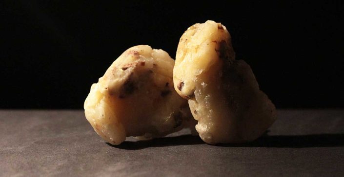 Home - Willy Benecke